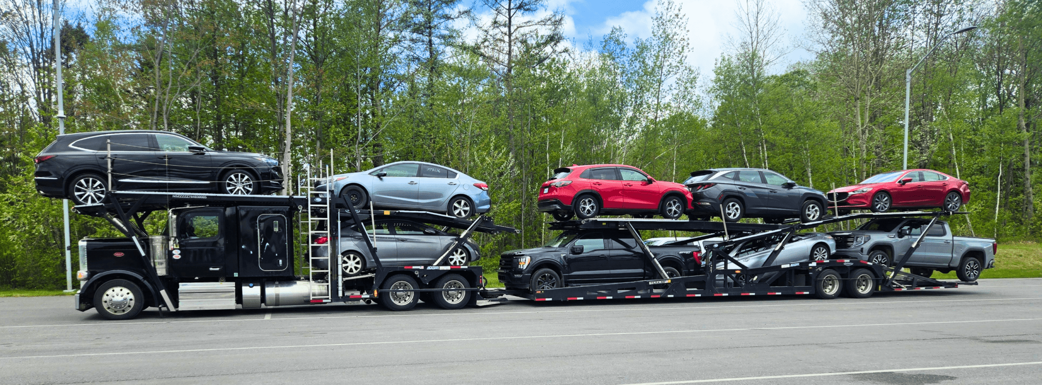 The Hidden Cost of a Delayed Vehicle Shipment: Why “Cheap” Car Shipping ...